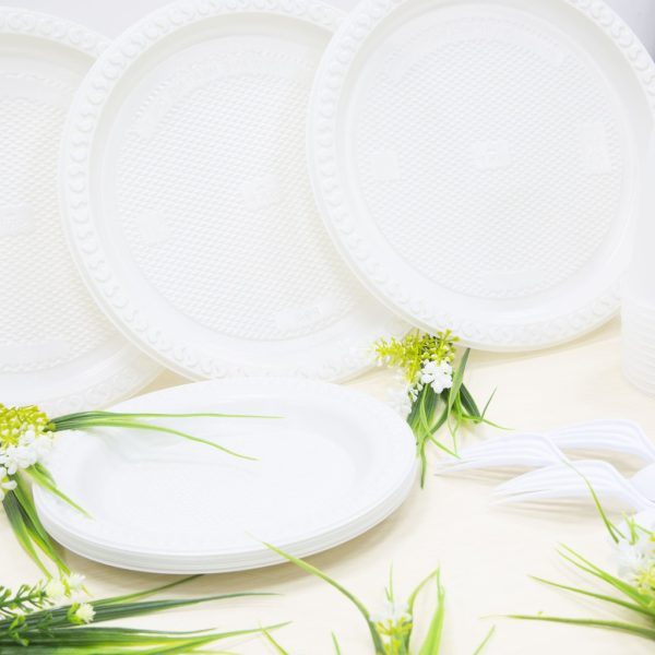SKP EcoParty (Eco-Friendly/Biodegradable Disposable Party Supplies Set ...