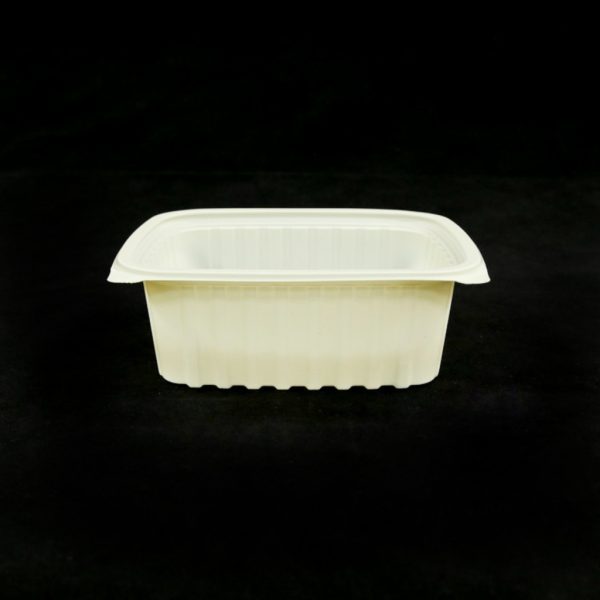 SKP Ecovue Biodegradable Disposable Rectangular Container – SKP ...