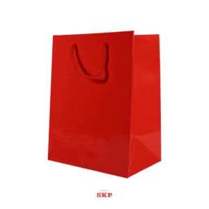 20 x 26 cm Shopping Paper Bag – SKP Official Online Store